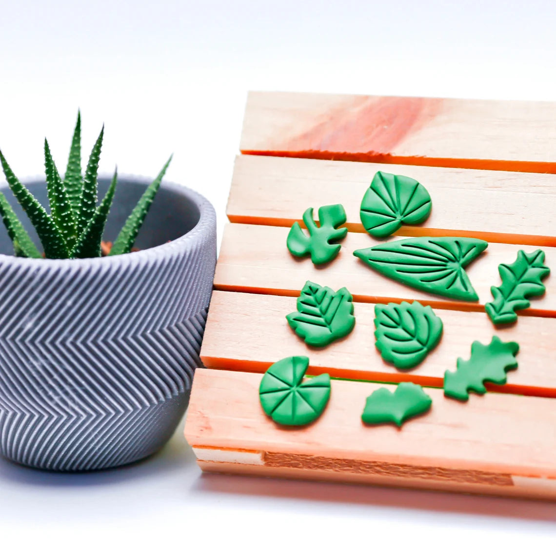 Foliage Bundle of 9 *20% OFF* – Cutterglobe