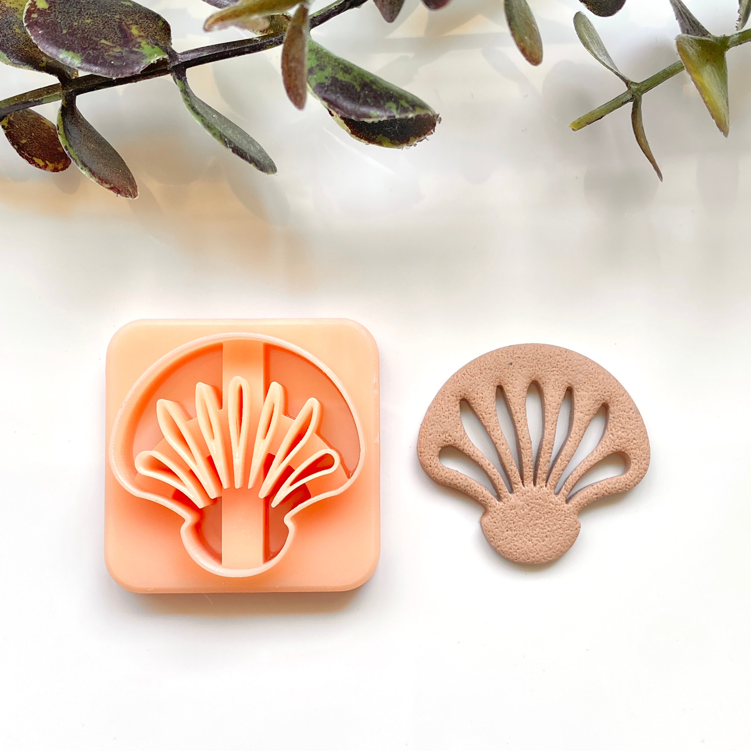 Shell Deco – Cutterglobe