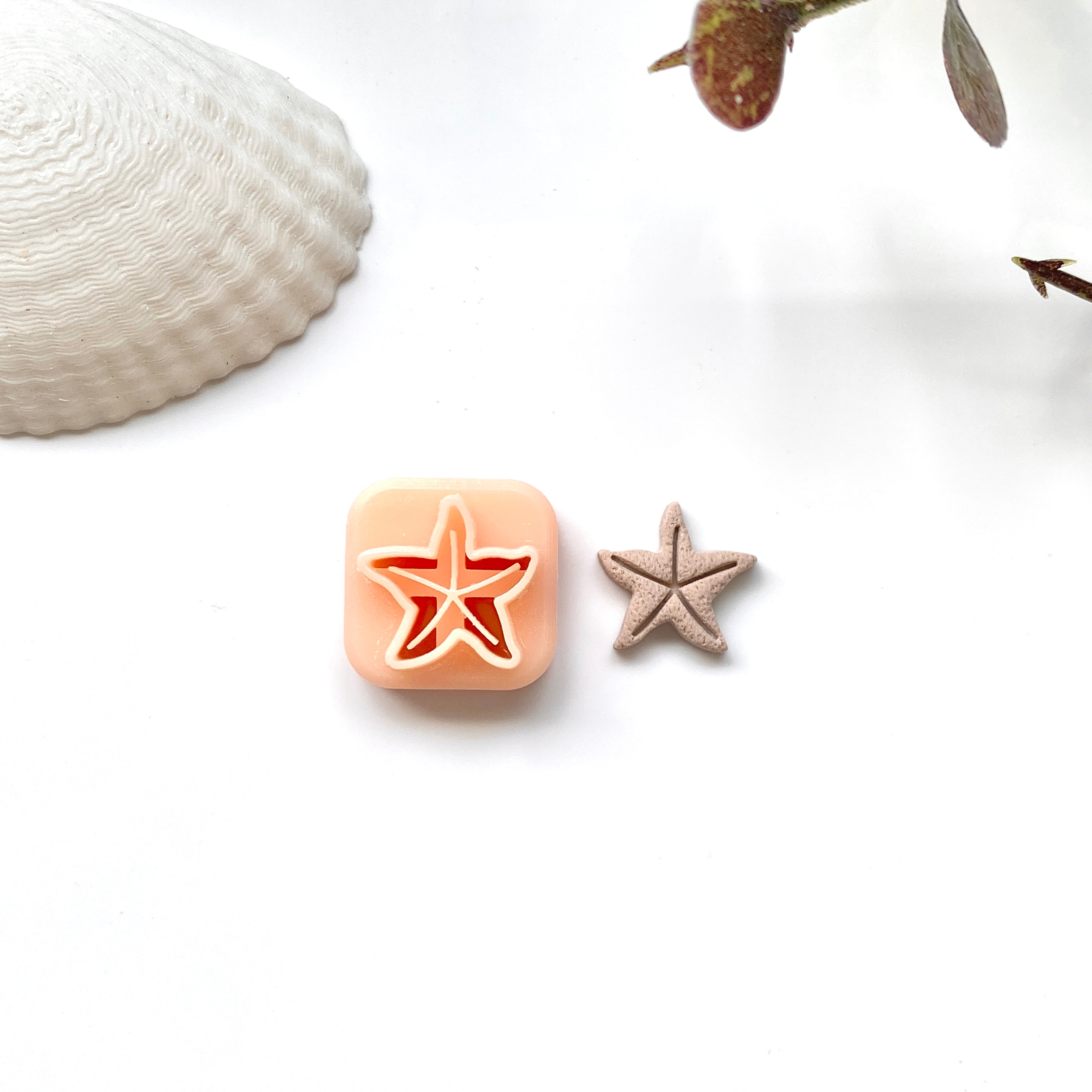 Line Starfish Stud – Cutterglobe