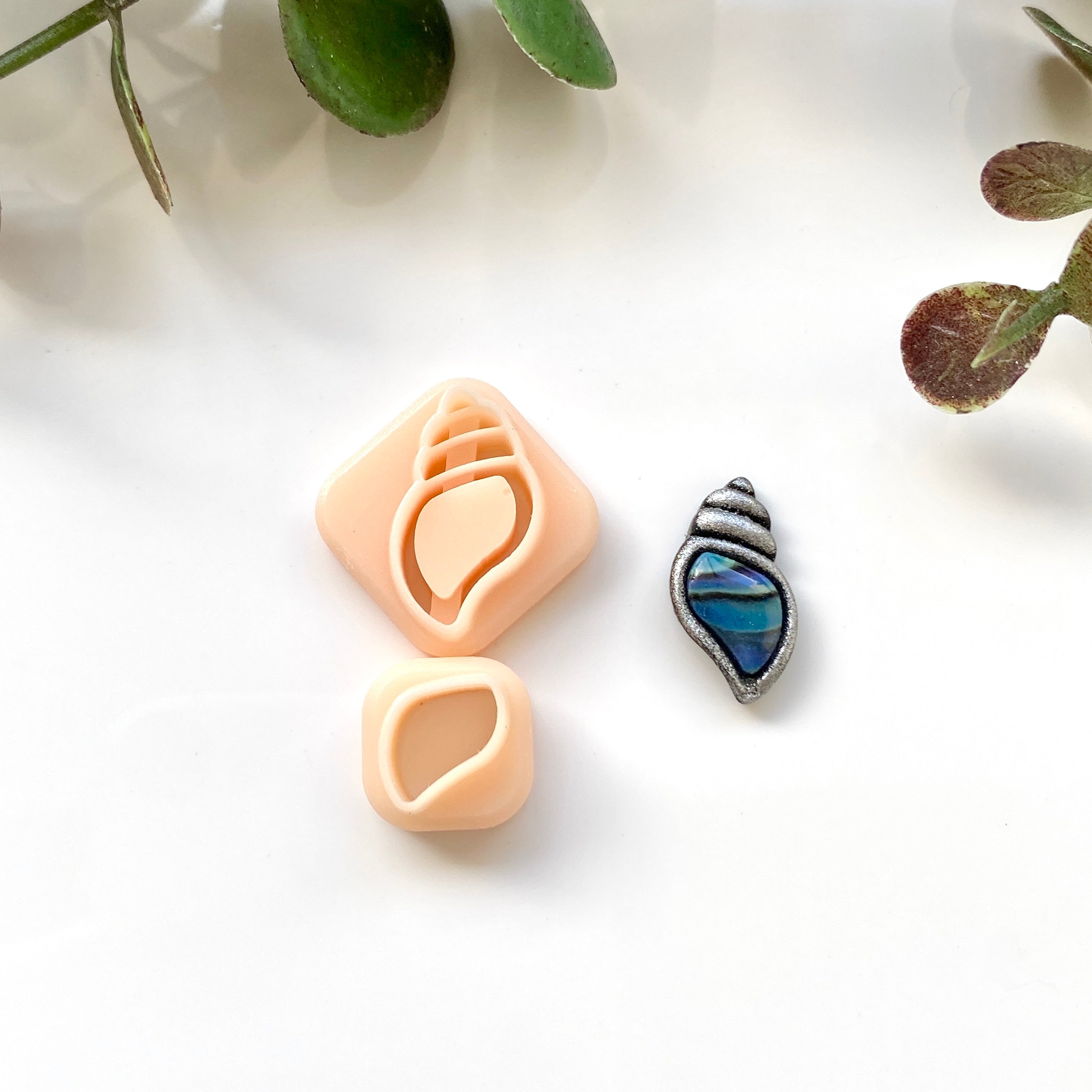 Conch Shell Abalone Shell Stud Dupe – Cutterglobe