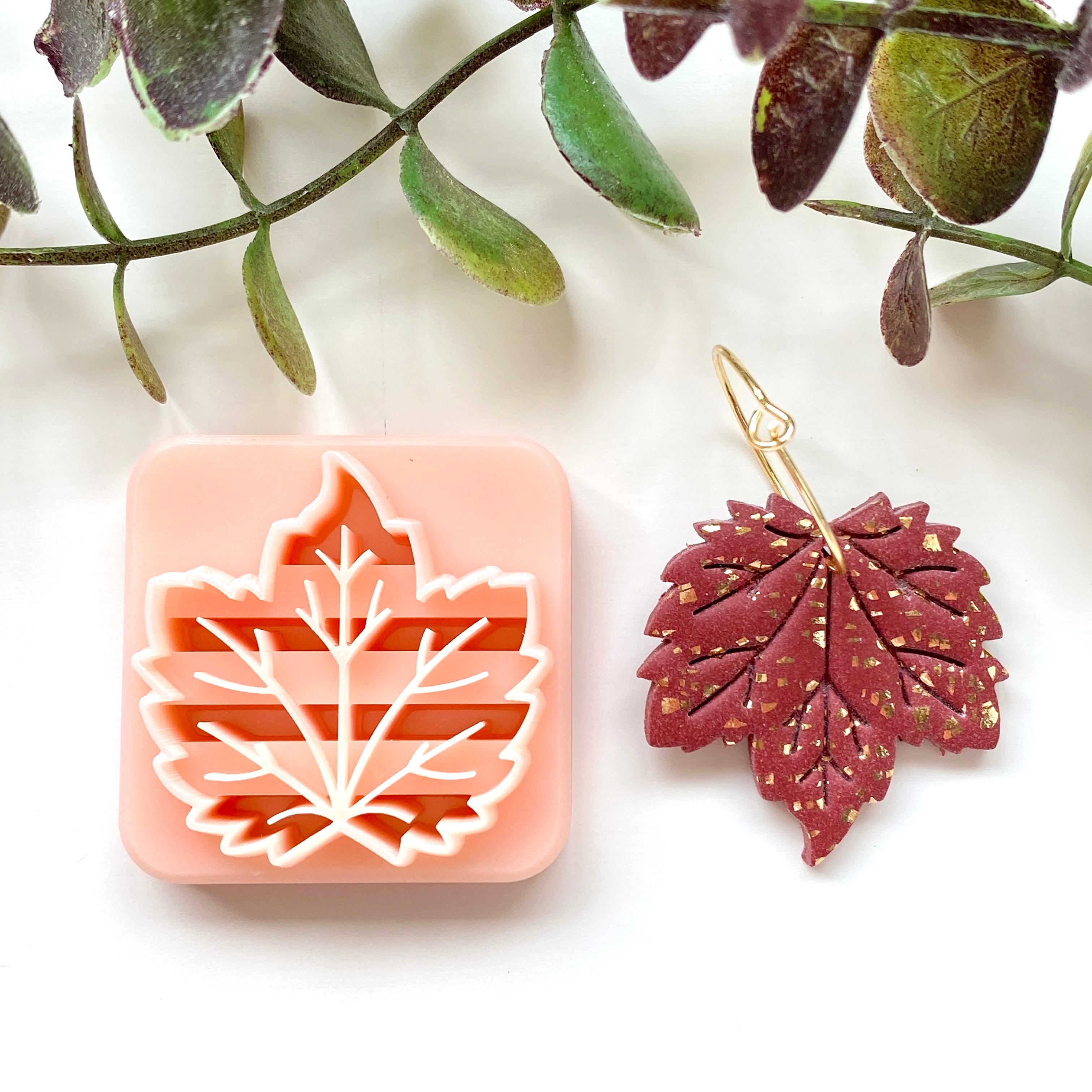 Maple C – Cutterglobe