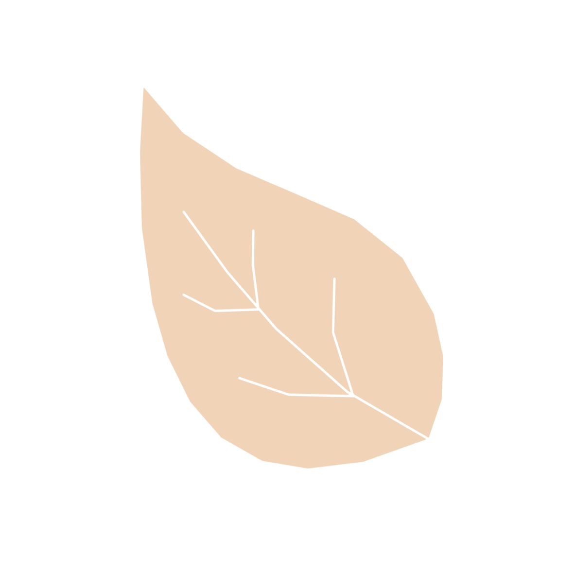 Leaf C – Cutterglobe